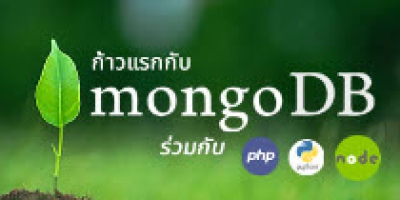 Basic MongoDB with PHP Python and NodeJS เรียน สอน จัดอบรม คอร์ส หลักสูตรอบรม | สถาบันสอนทำ ...